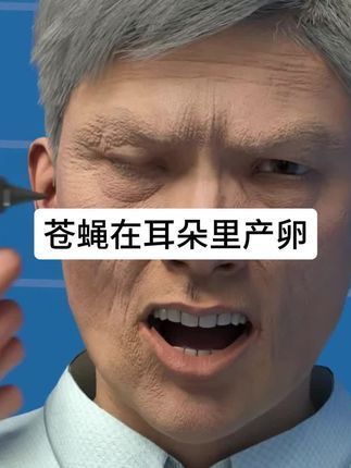 苍蝇在人体的耳朵里寄生蛆虫?