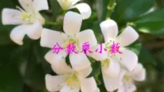 人教版六年级数学上册 1.5分数乘小数