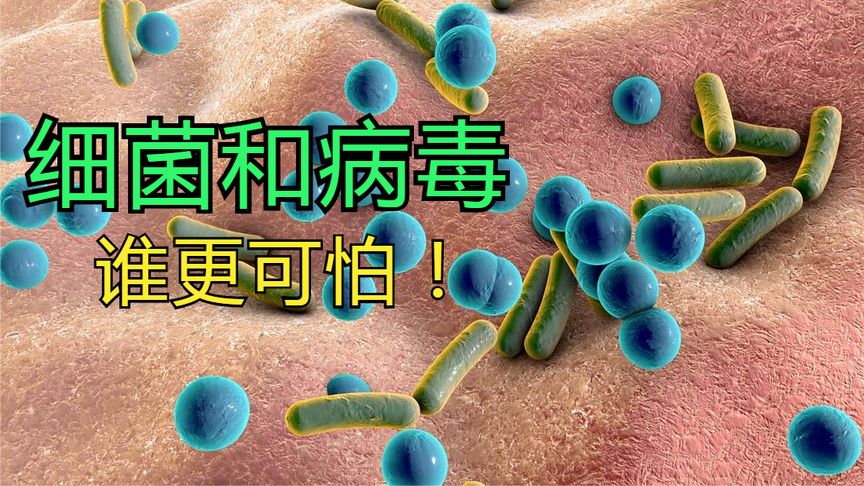 细菌和病毒,谁更可怕!