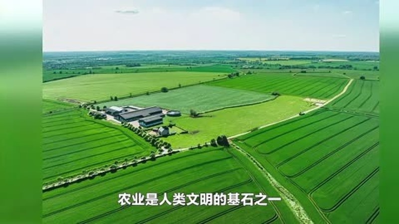 农业在现代社会中的地位与重要性如何