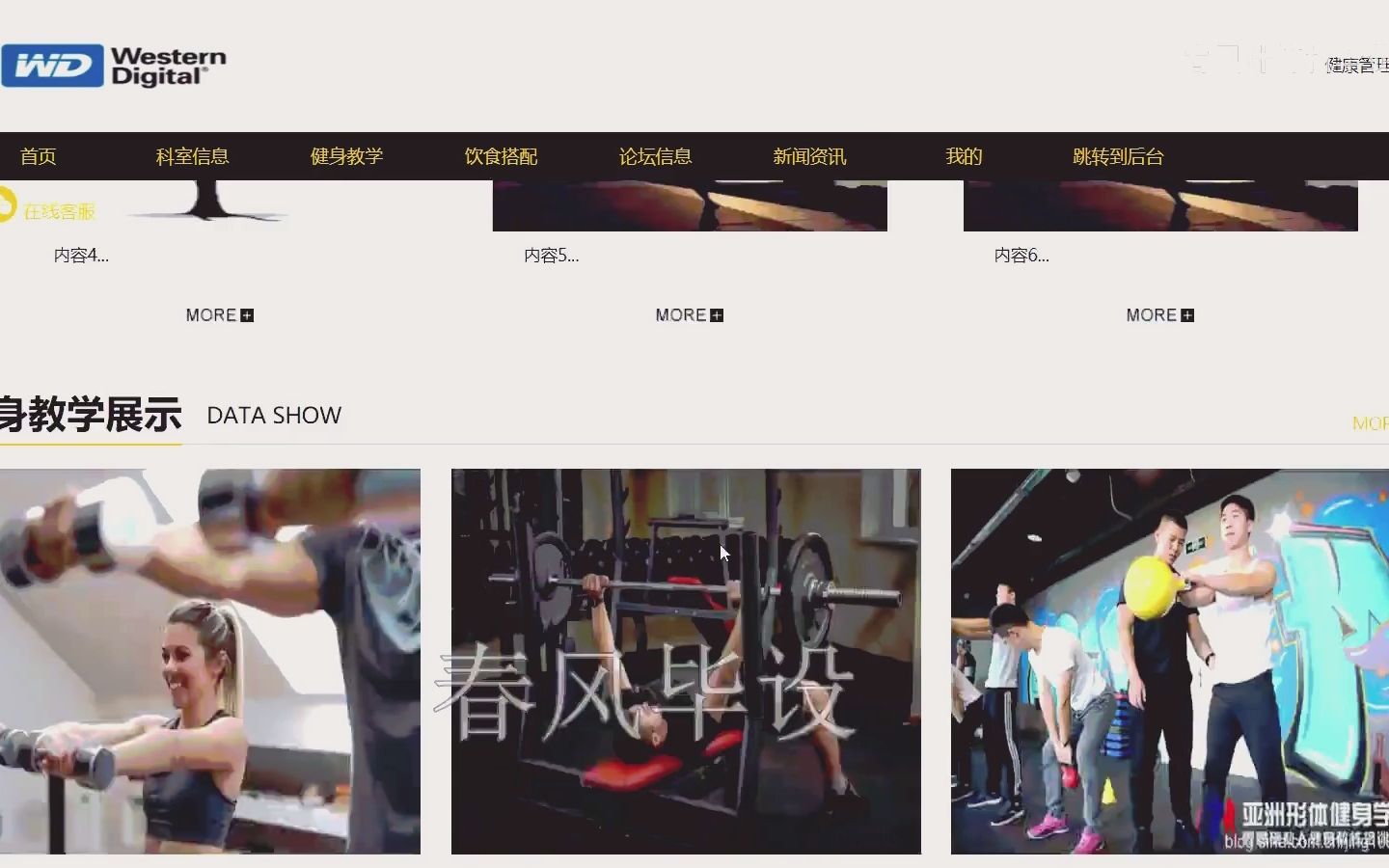 基于Spring+Vue+Mybtis框架开发的健康体检管理系统