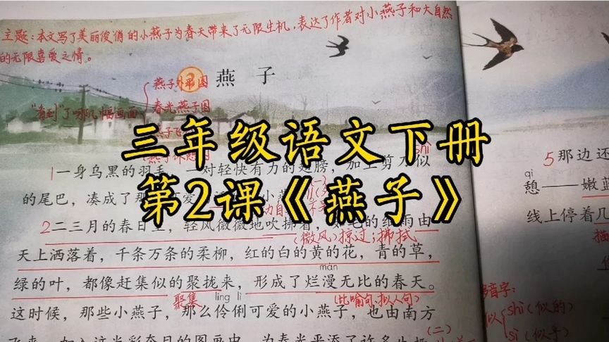 三年级语文下册第2课《燕子》课文讲解