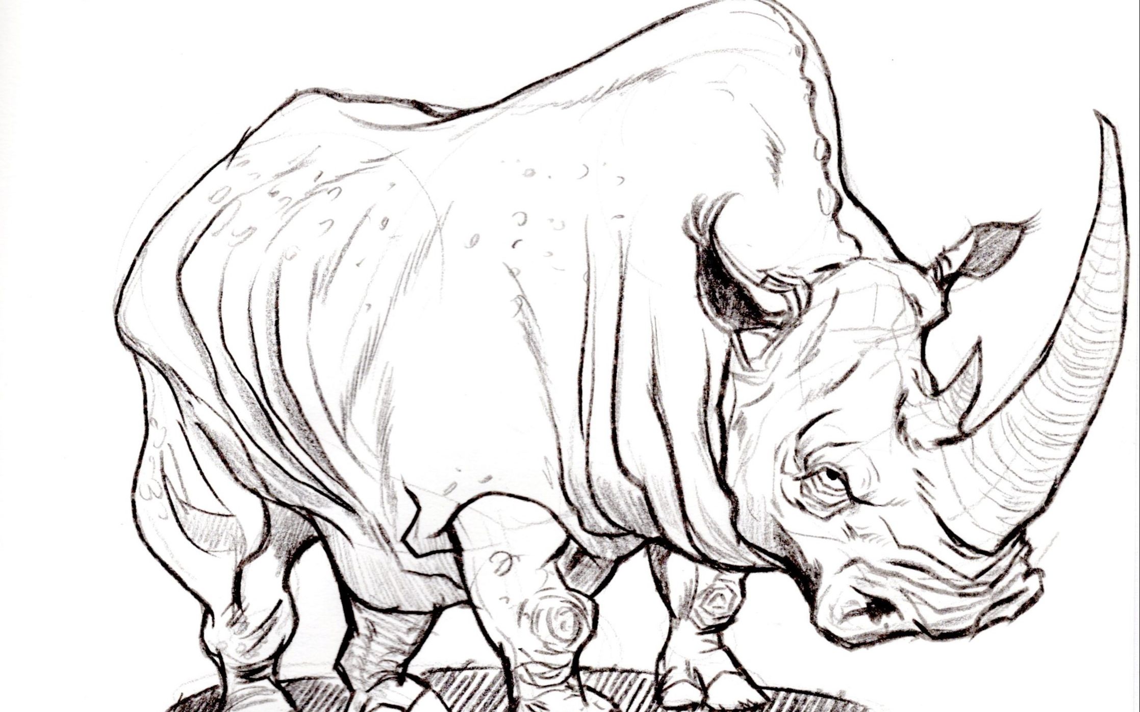 【手绘日常】仿生素材积累-犀牛与食人鱼(2P)