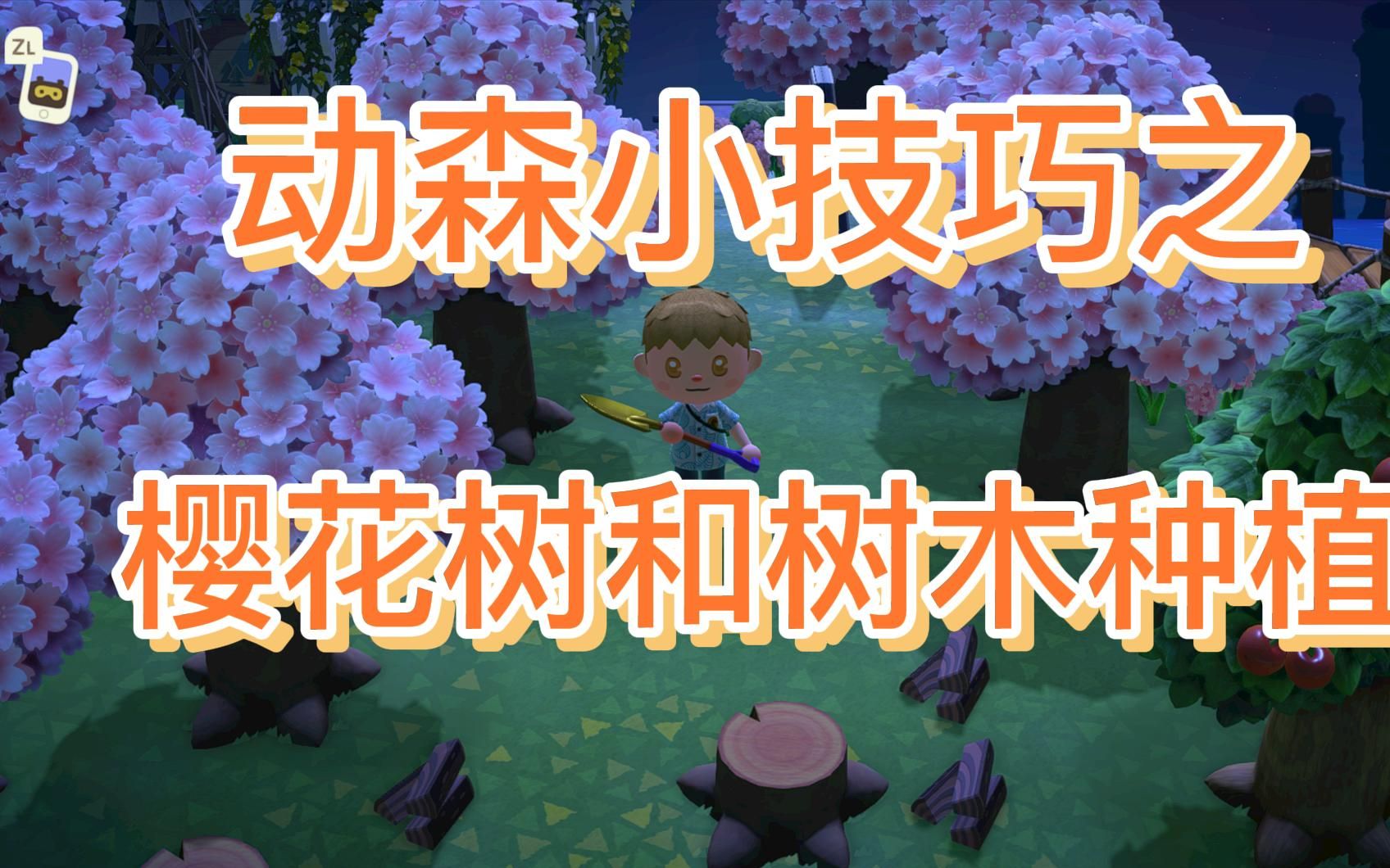 动森小技巧之樱花树和树木种植