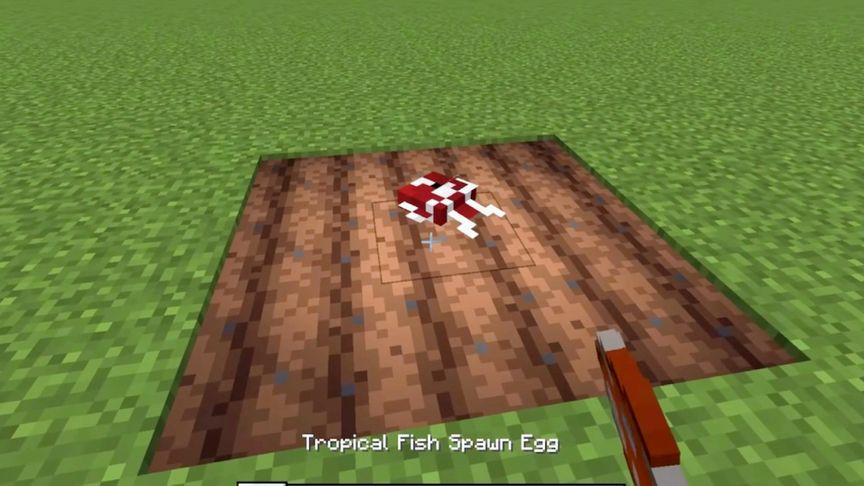 我的世界中在泥土里面养鱼