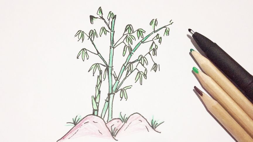 竹子简笔画,竹子画要注意枝干跟叶子,拿起笔来一起画画吧!