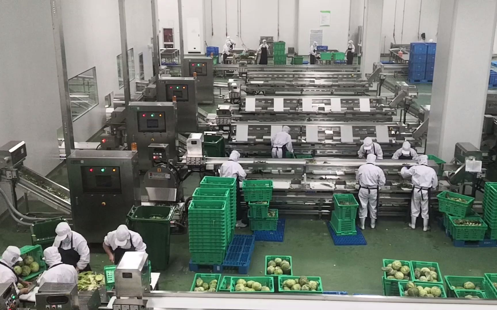 全自动化净菜加工生产线