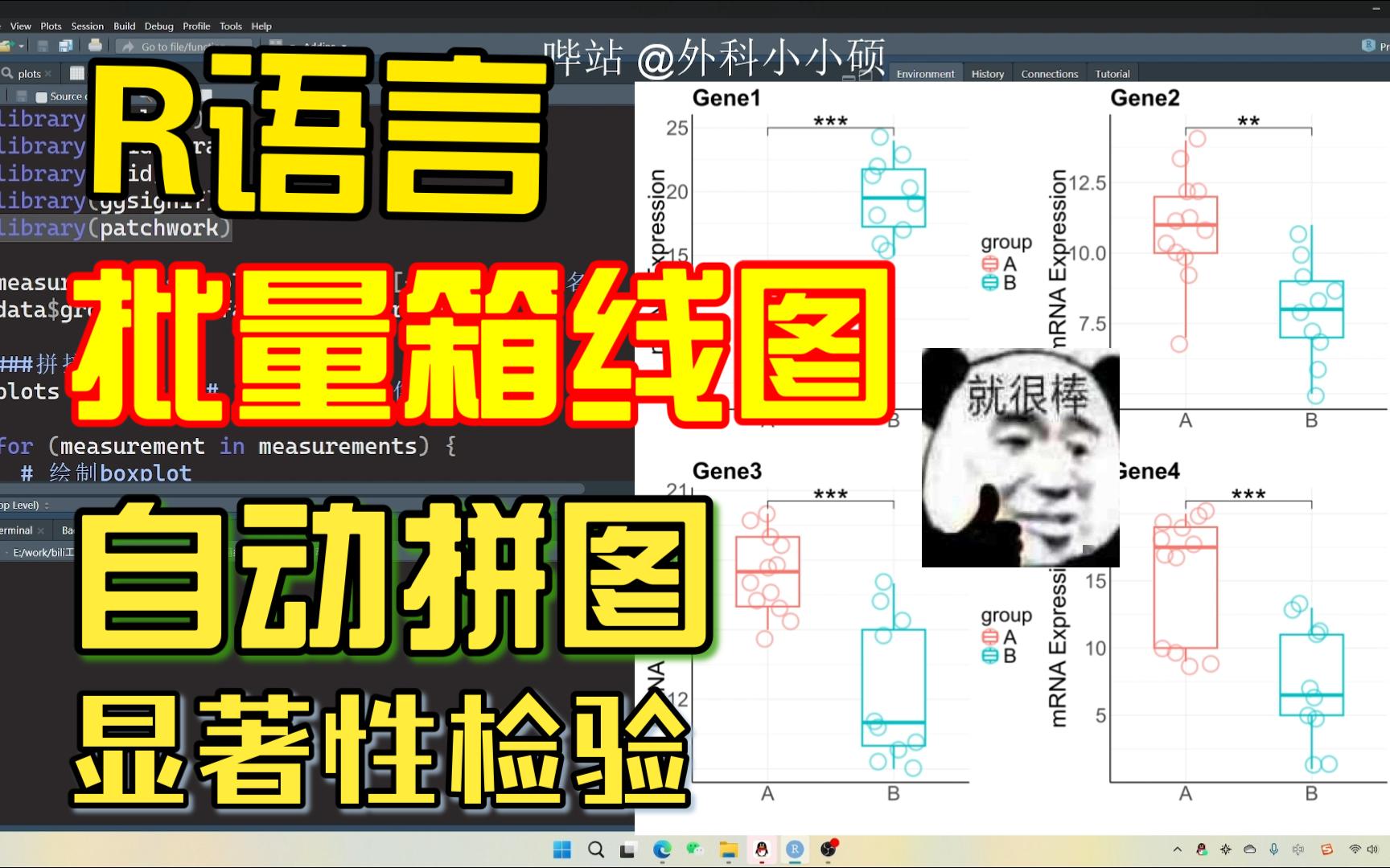 R语言批量绘制箱线图教程2:自动拼图