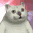 きかんみそ 
