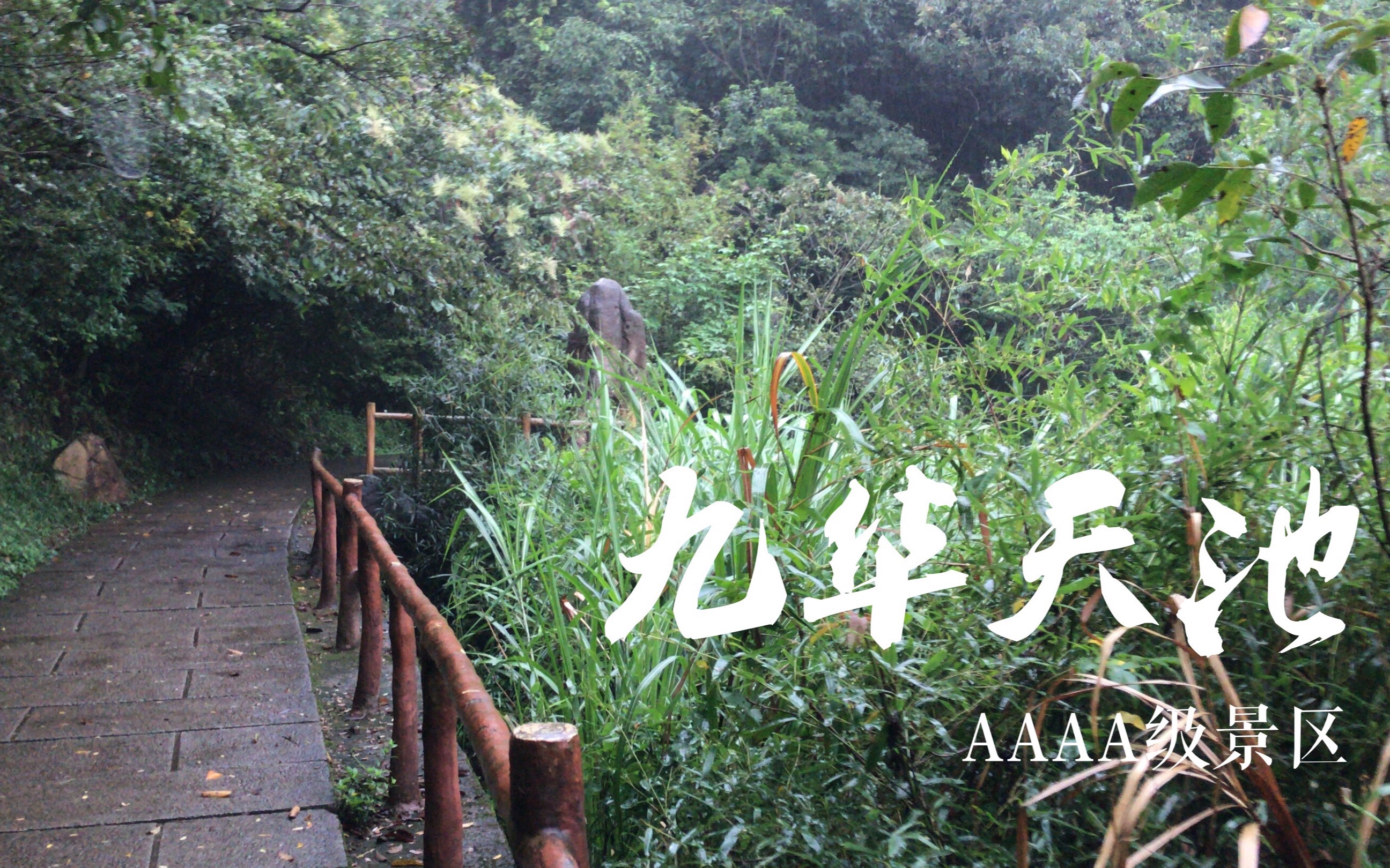 Vlog | 安徽池州 | AAAA级景区 九华天池 天池瀑
