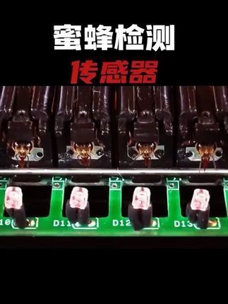 蜜蜂检测器 你能想象用蜜蜂作为检测器使用吗?他到底是如何运作的?#...