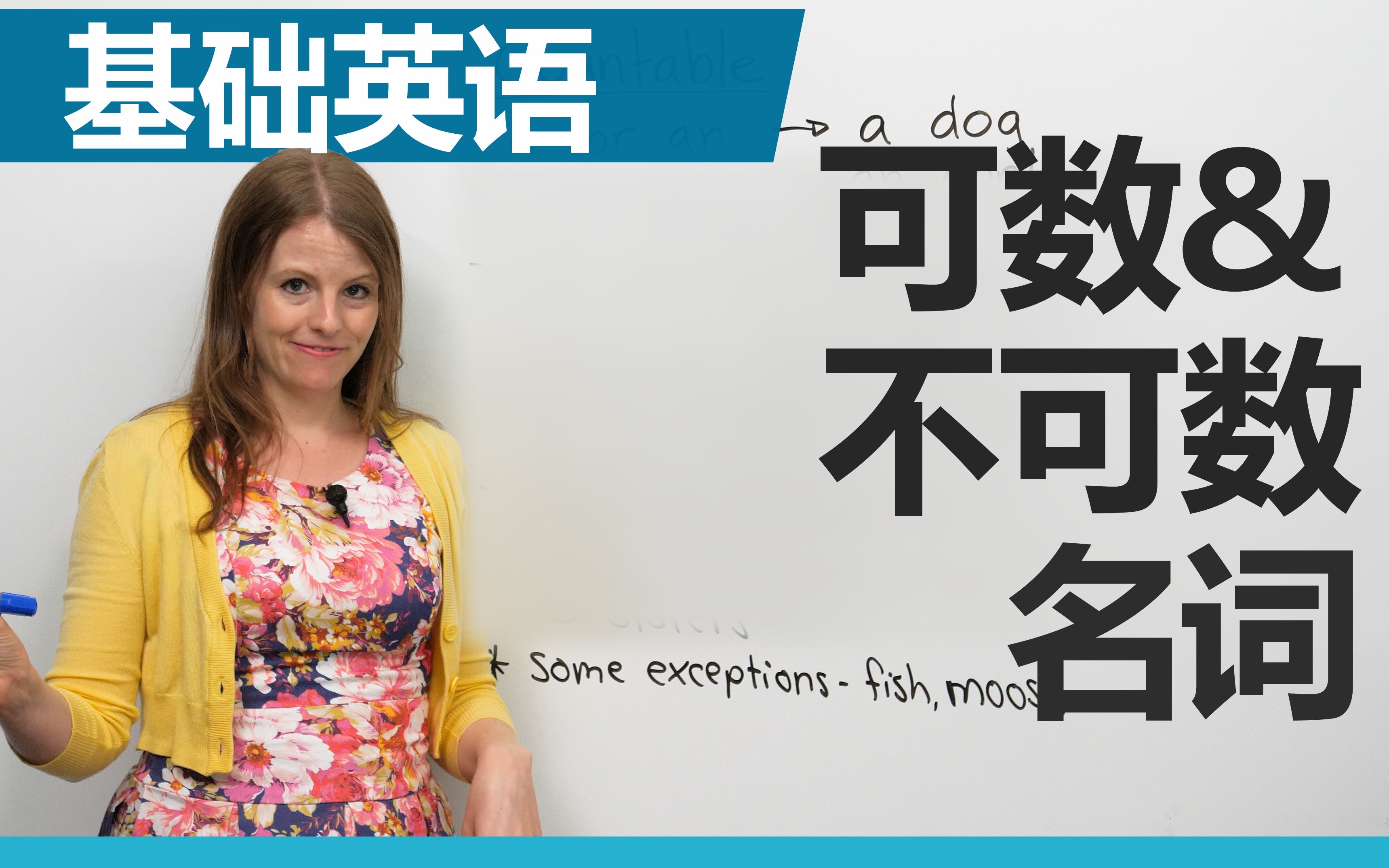 【基础英语】可数和不可数名词