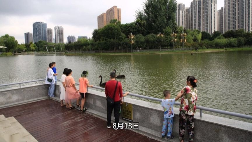 专家:房地产税或年底前出台试点政策,税率不超过总价1%