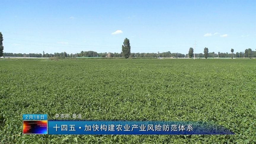 十四五·加快构建农业产业风险防范体系