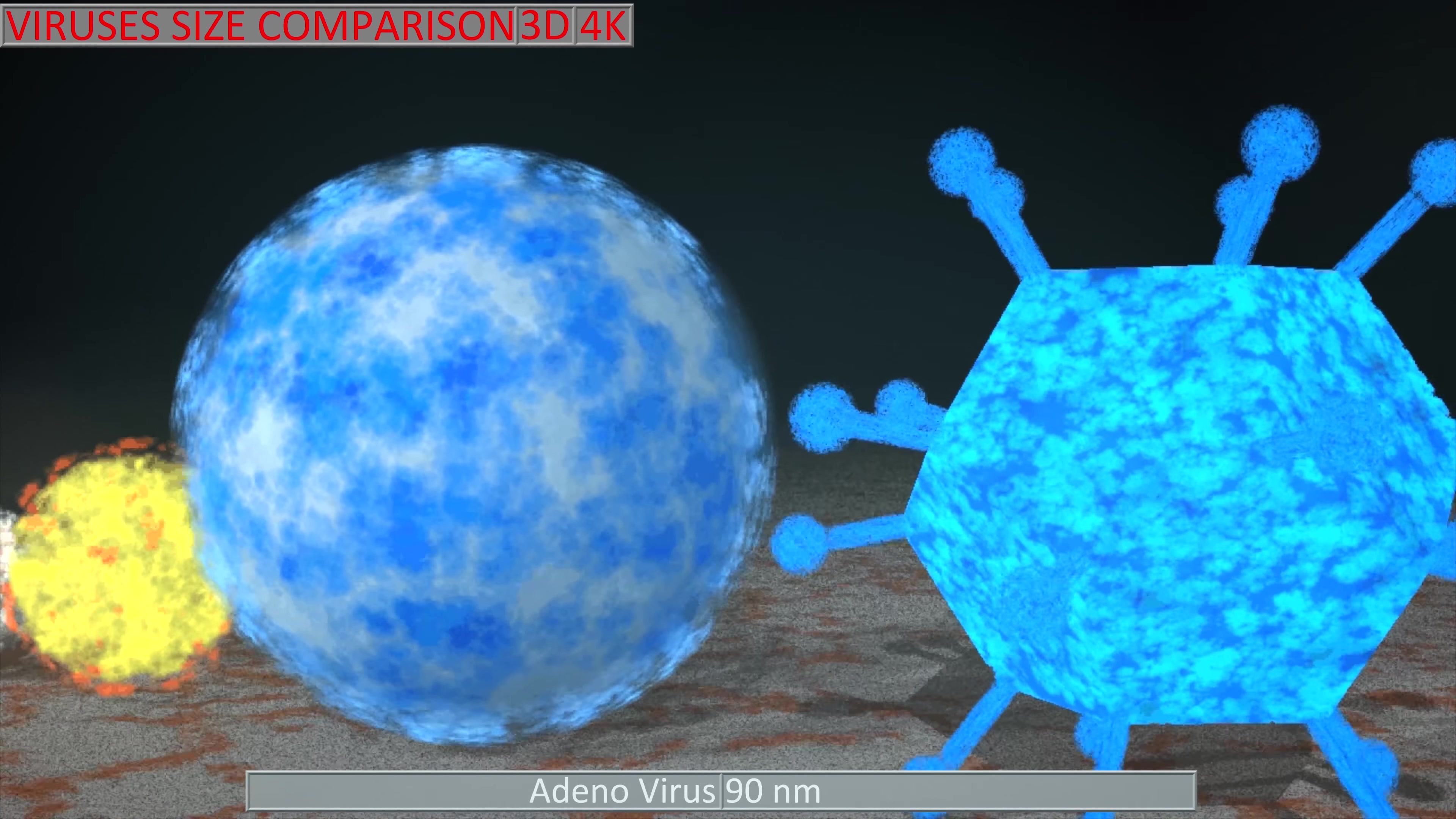 (中文字幕)病毒大小对比