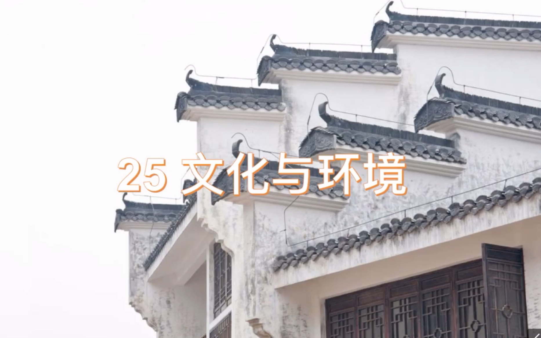 【2021上海地理等级考分类汇编】25文化与环境