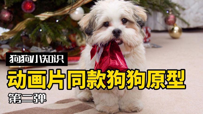 扒一扒动画片里的狗狗原型,第二弹!