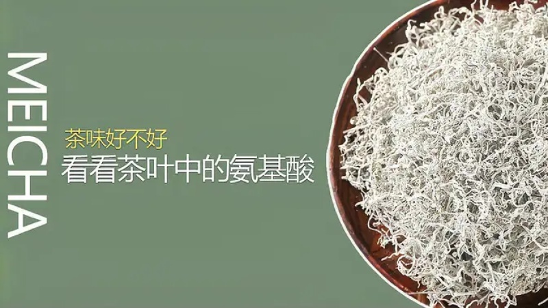 茶味好不好,看看茶叶中的氨基酸