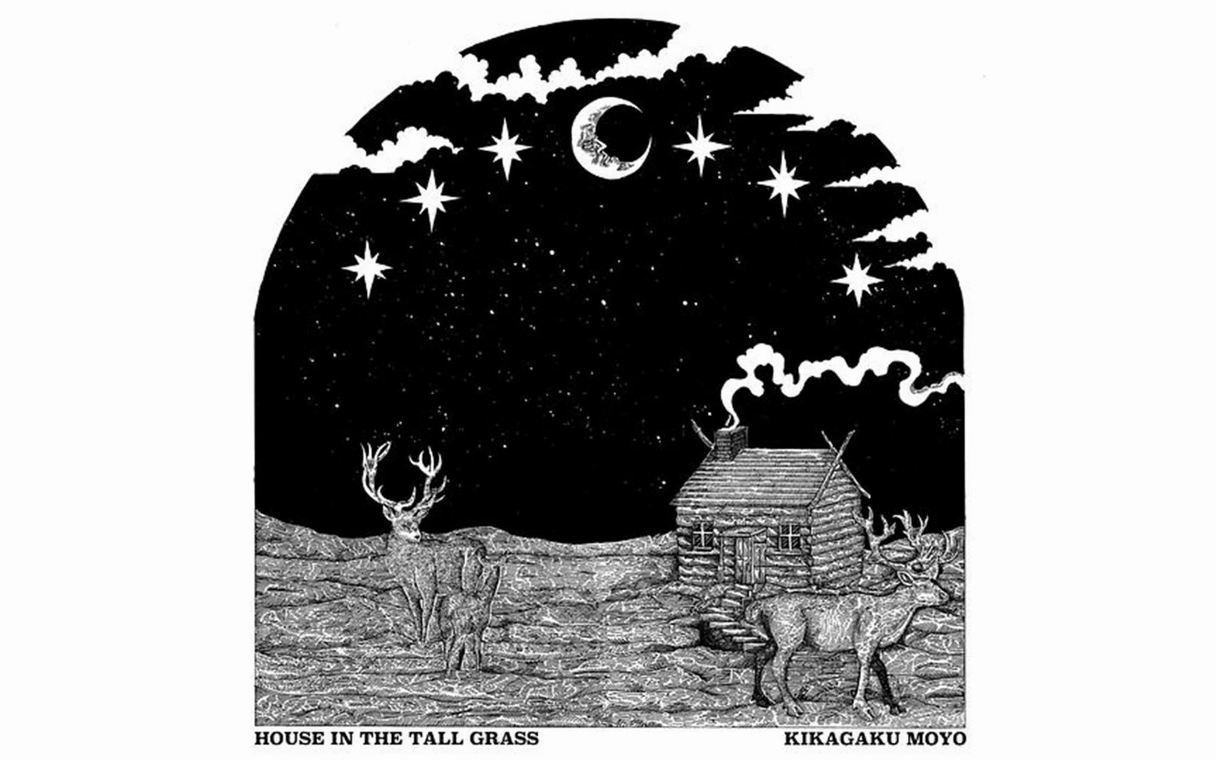 ...in the Tall Grass》——日本迷幻摇滚乐队 Kikagaku Moyo(几何学模样)