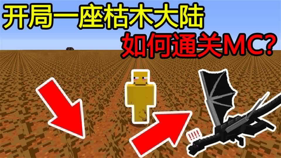 我的世界:开局一座枯木大陆,如何通关MC?
