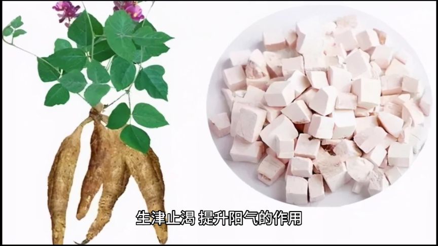 葛根的功效与作用