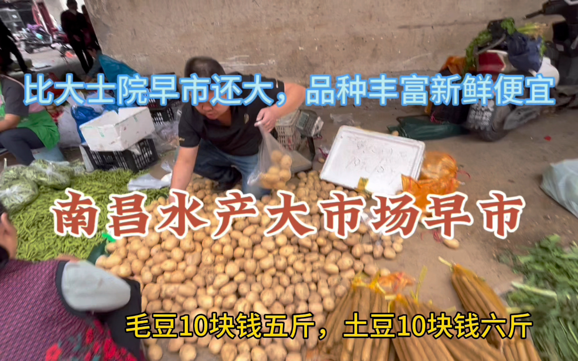 想不到南昌竟然有比大士院早市还大还便宜的早市! 水产大市场早市