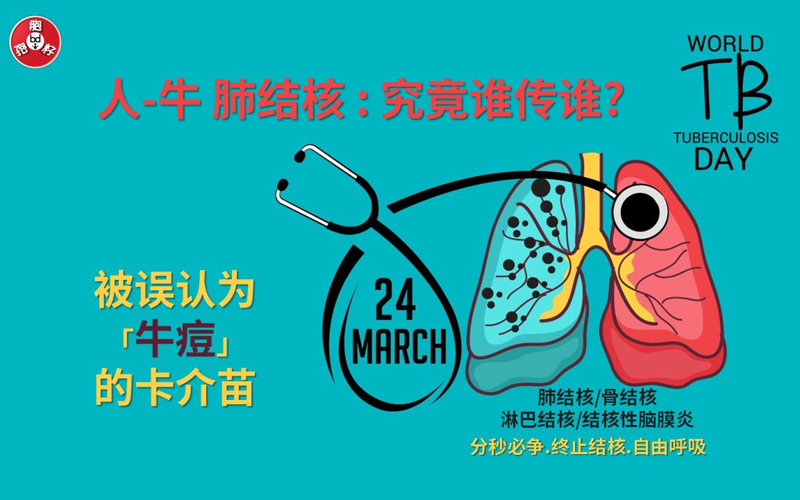 BBS.53//人-牛肺结核究竟是谁传给了谁?为什么卡介苗会在手臂形成"...