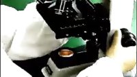 1 显微镜-04玻片移动
