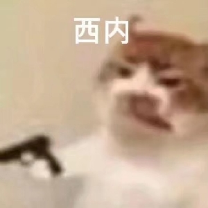 一颗懒pan 