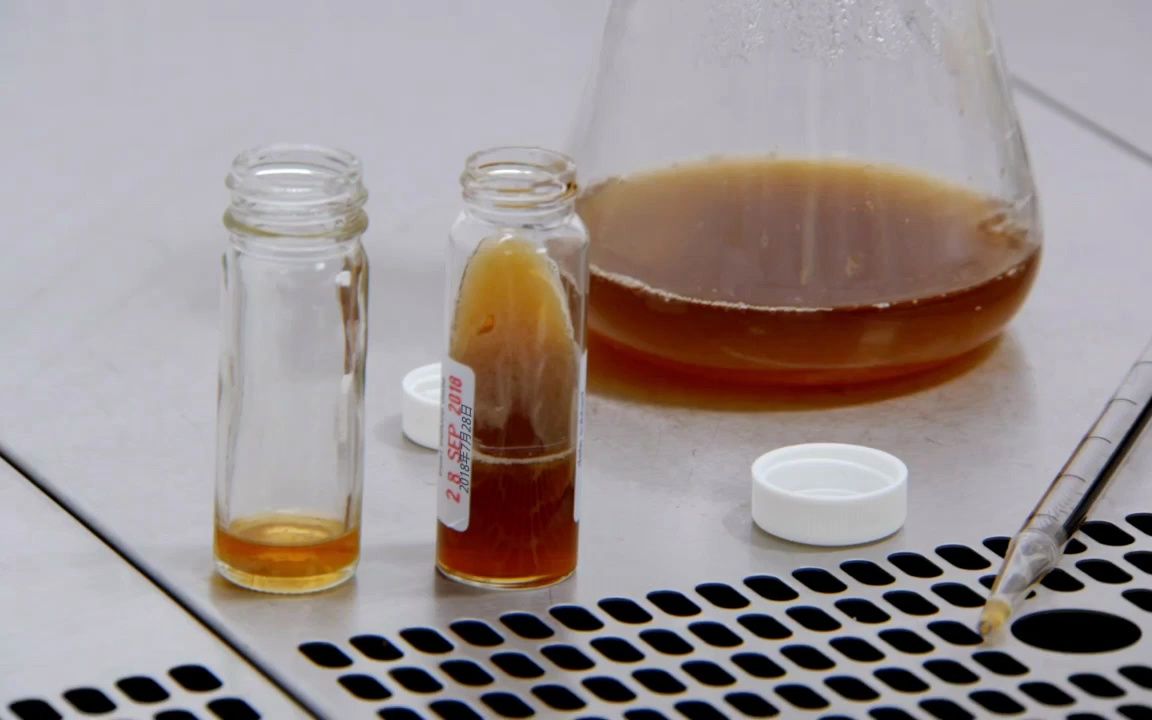 啤酒的生命中谁扮演了灵魂的角色?魔法般的原料作用有多大?