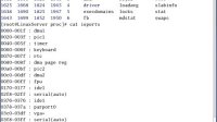 4——Linux文件类型、目录组织结构及读写权限、系统管理