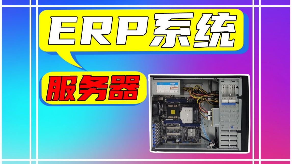 ERP系统服务器 Z11PA-D8C/至强6133/64G内存/2个西数8T企业盘/...