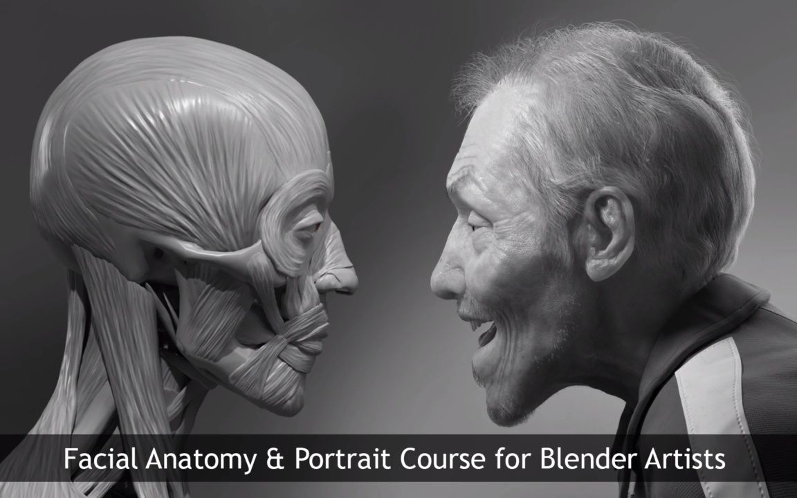 [国语]Blender3艺术家的面部解剖学和人物肖像