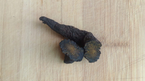 生地黄和熟地黄,在功效上它们有什么不同之处呢?今天算长见识了