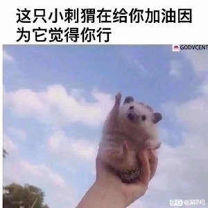 吃肉的老兔叽 