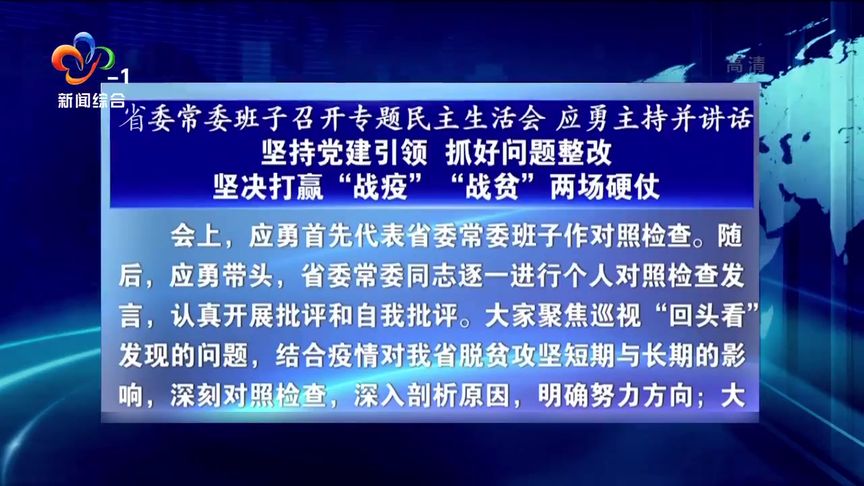 湖北省委常委班子召开专题民主生活会 应勇主持并讲话