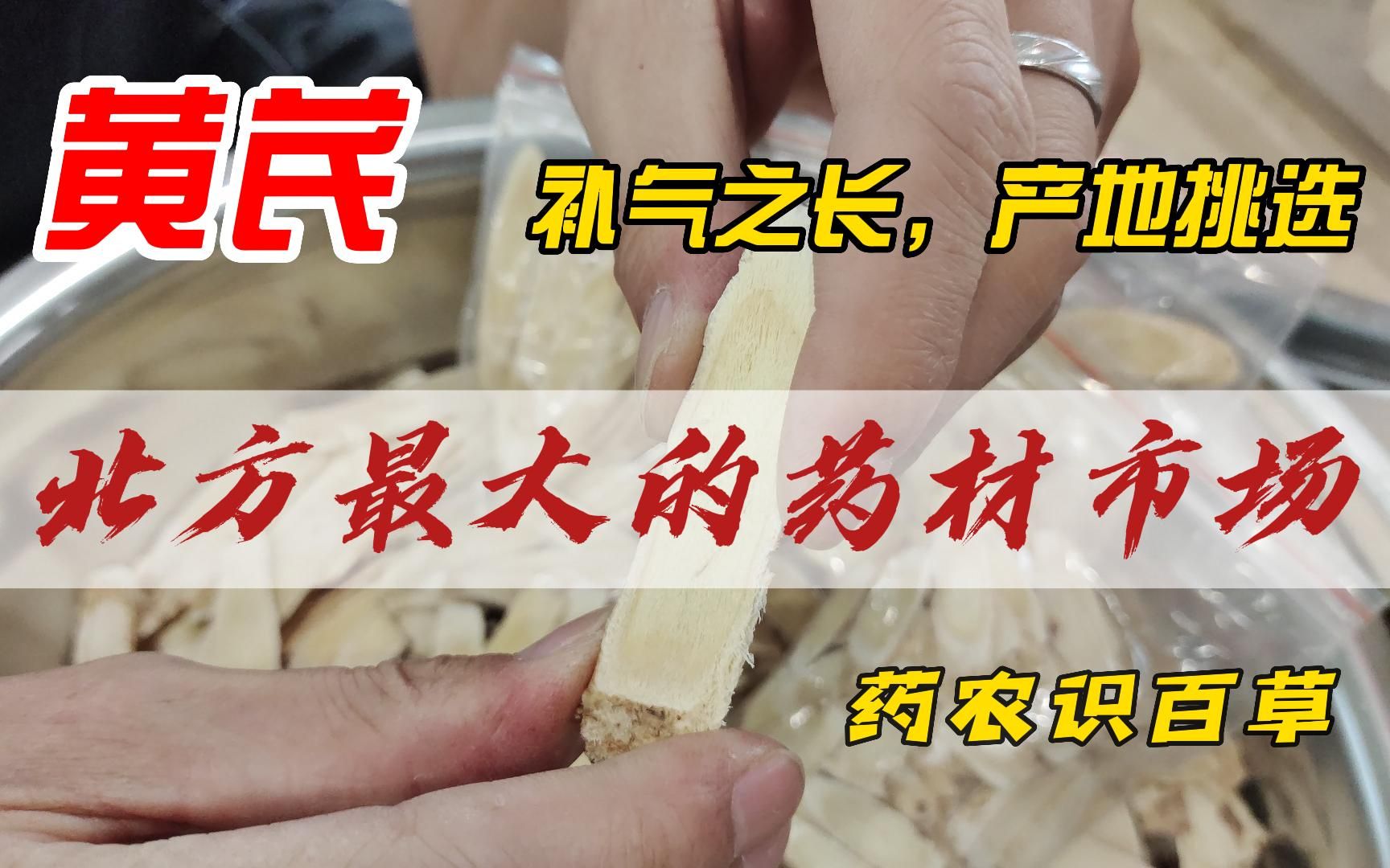补气之王你还以为是人参吗?而是田里的它,药农王岩识百草
