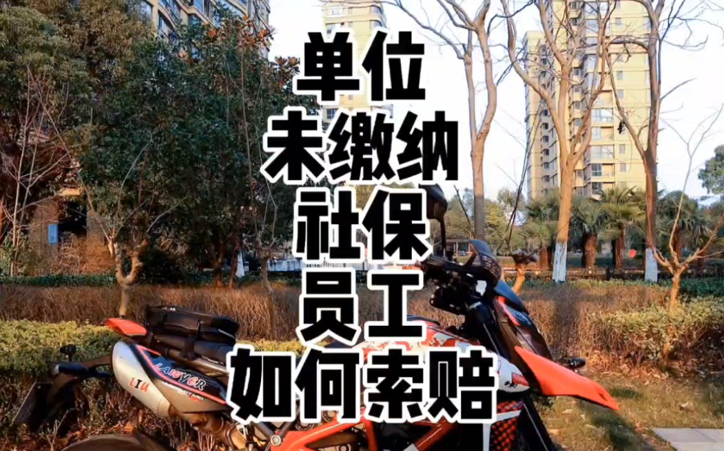 单位未缴纳社保,员工如何索赔?