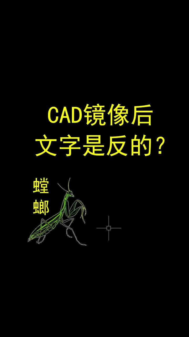 CAD遇到镜像是反的如何处理。@#cad原创插件