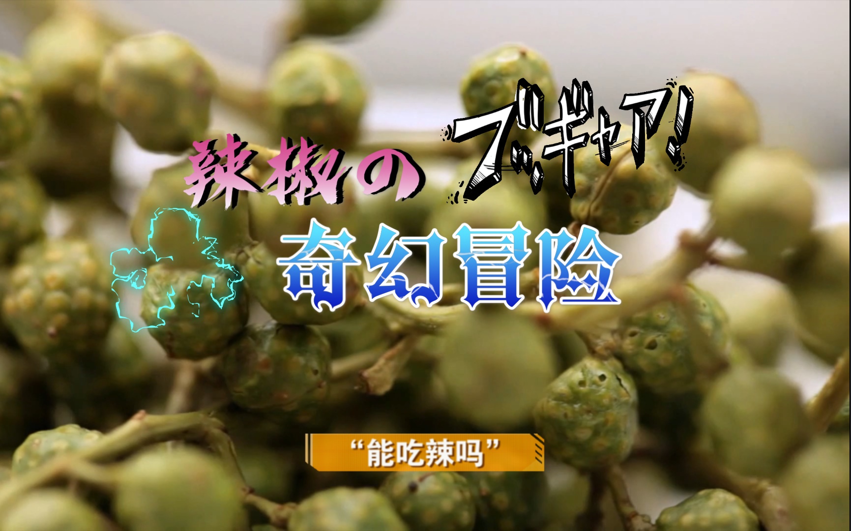 辣椒传入中国的历史竟然这么短,但是为何现在食用广泛