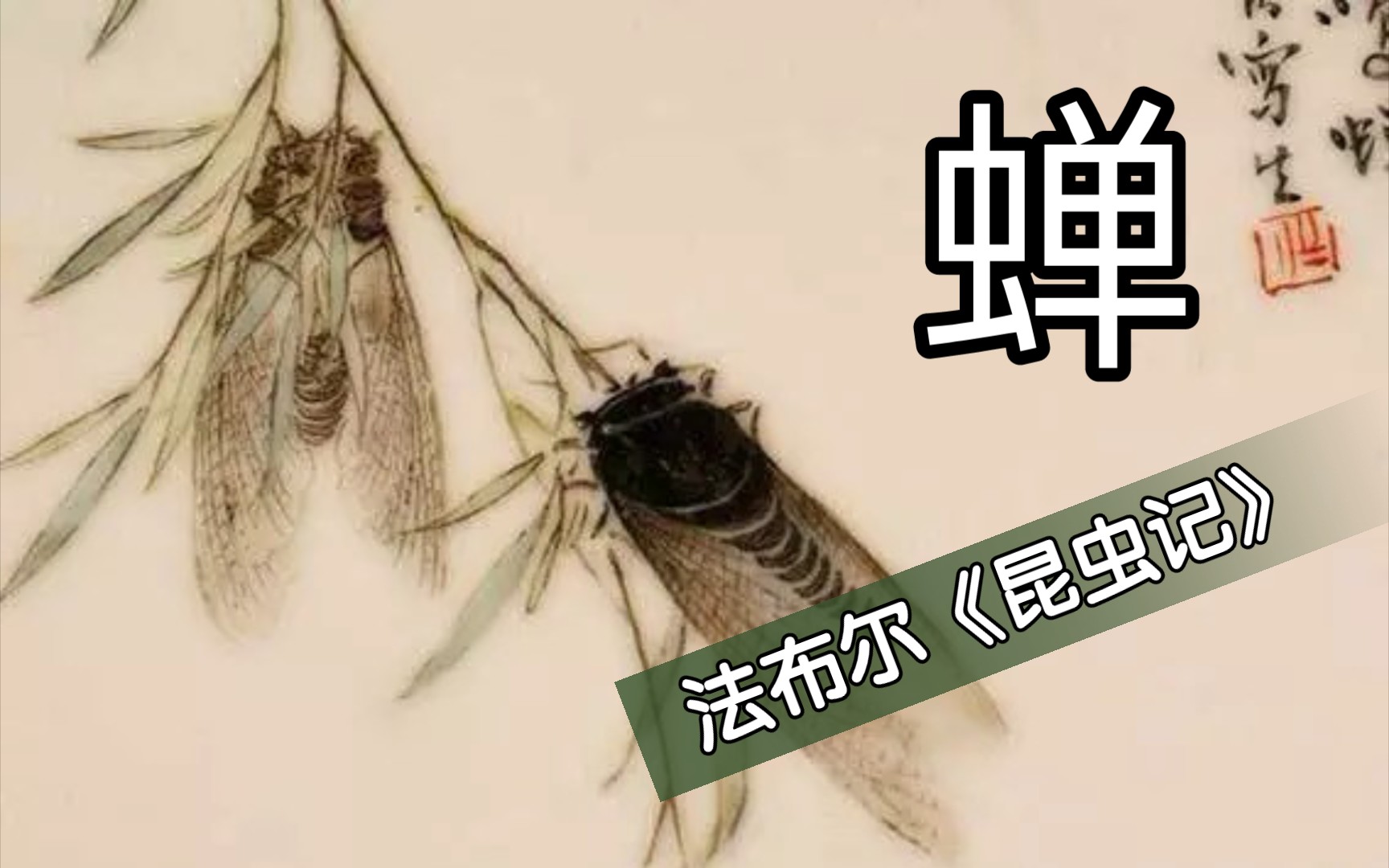 四年黑暗中的苦工_一个月阳光下的享乐《昆虫记》之 蝉 作者 法布尔