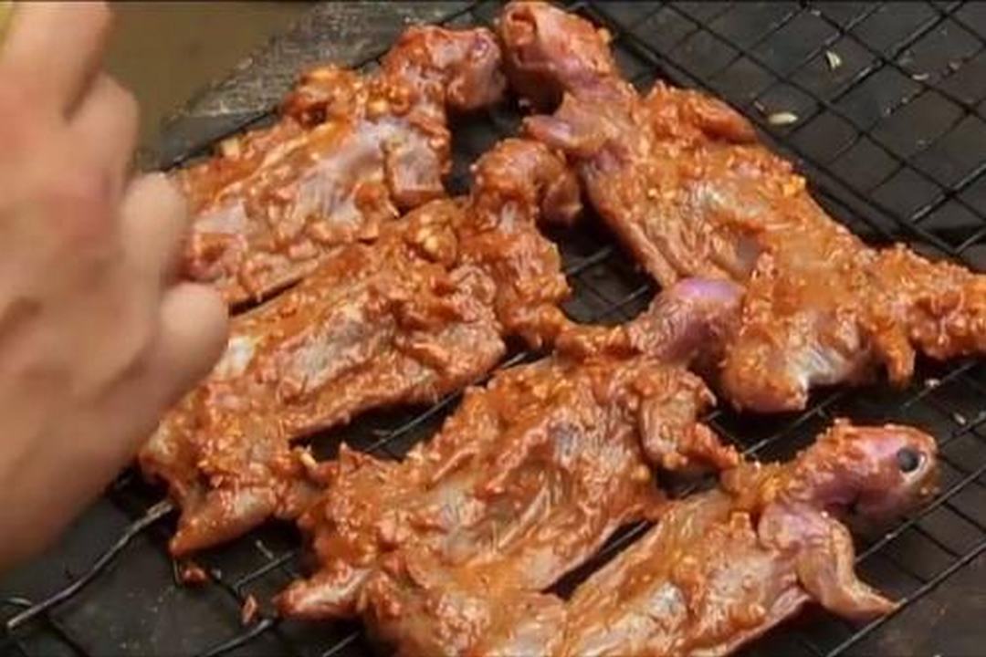 老鼠肉到底能不能吃?为什么两广地区人那么爱吃?