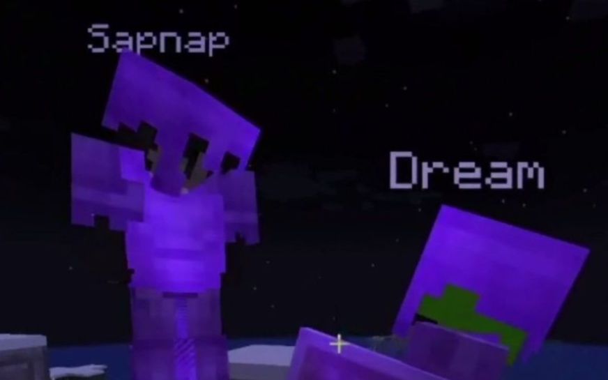 【生肉切片】sapnap与dream的"默契"