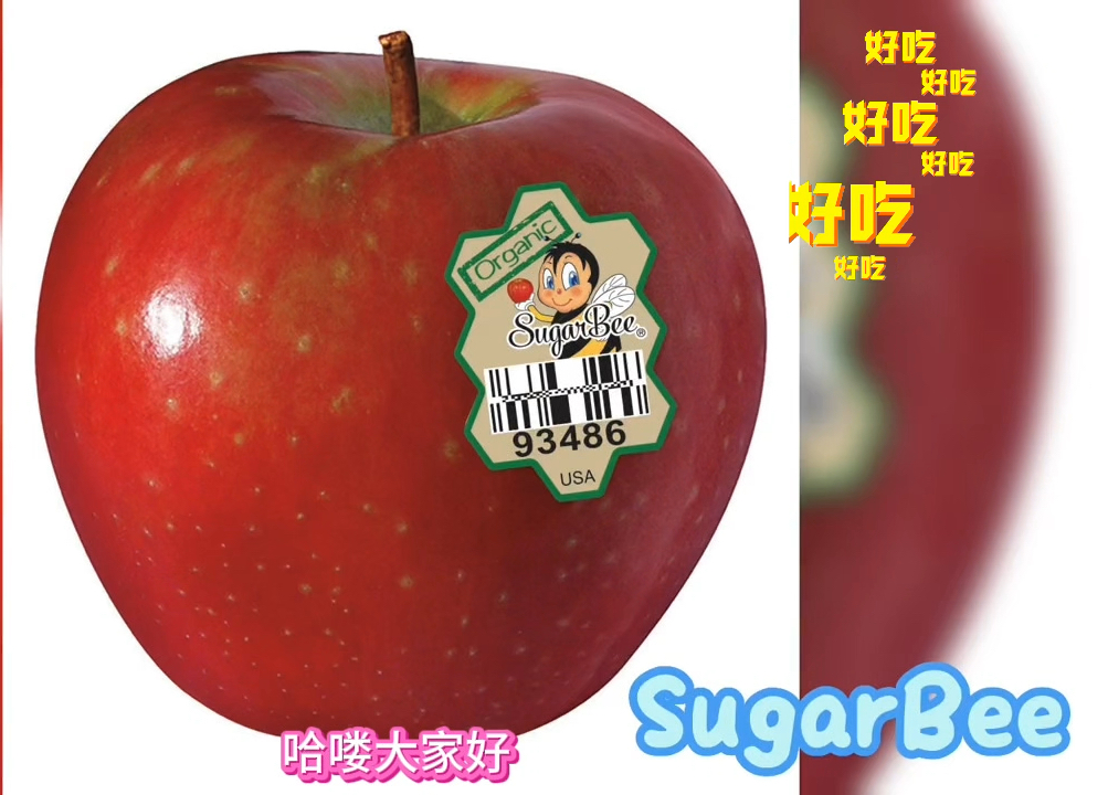 一款像蜂蜜一样甜爽的苹果新品种—SugarBee