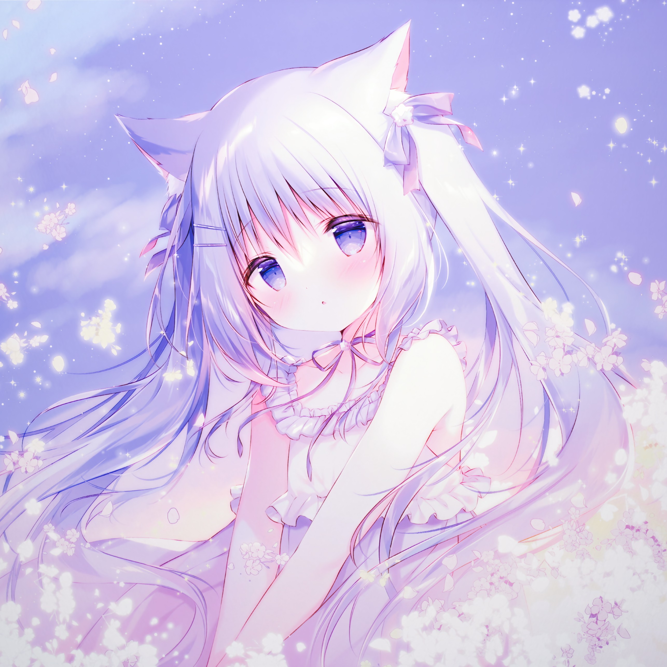しらたまねこ 