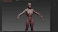 Zbuilder插件介绍