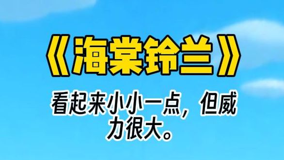 ...收到恶意差评后,我身为店长决定提供教学业务“一定是你用法不对.”