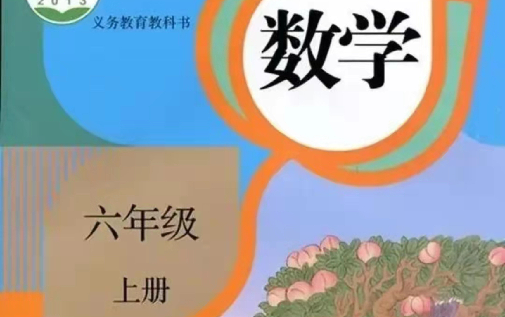 解方程(易错题复习卷六上)