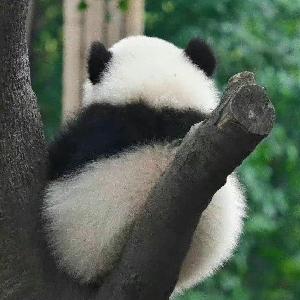 灿烂阳光1220 