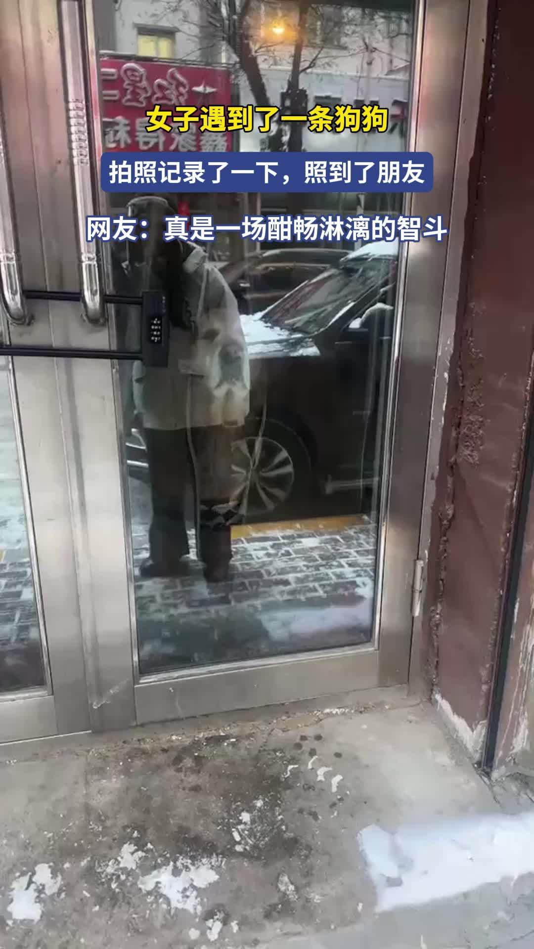 女子遇到了一条狗狗,拍照记录了一下,照到了朋友